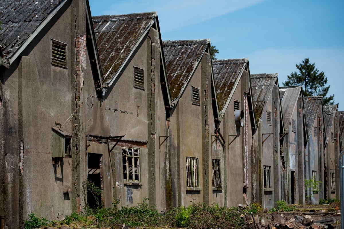 Hereford welcomes Rappor - Rappor